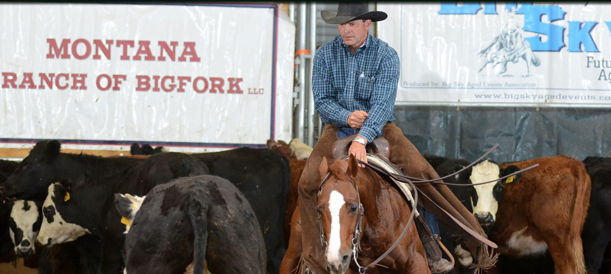 Montana Ranch Cutting Horses
