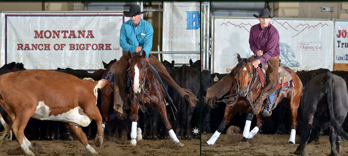 Montana Ranch Cutting Horses