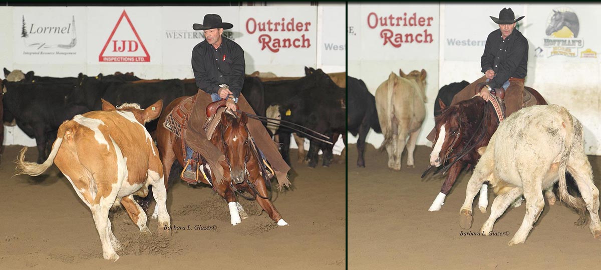 Montana Ranch Cutting Horses