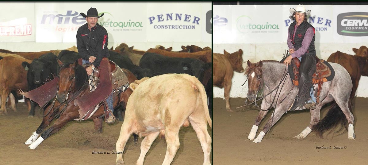 Montana Ranch Cutting Horses